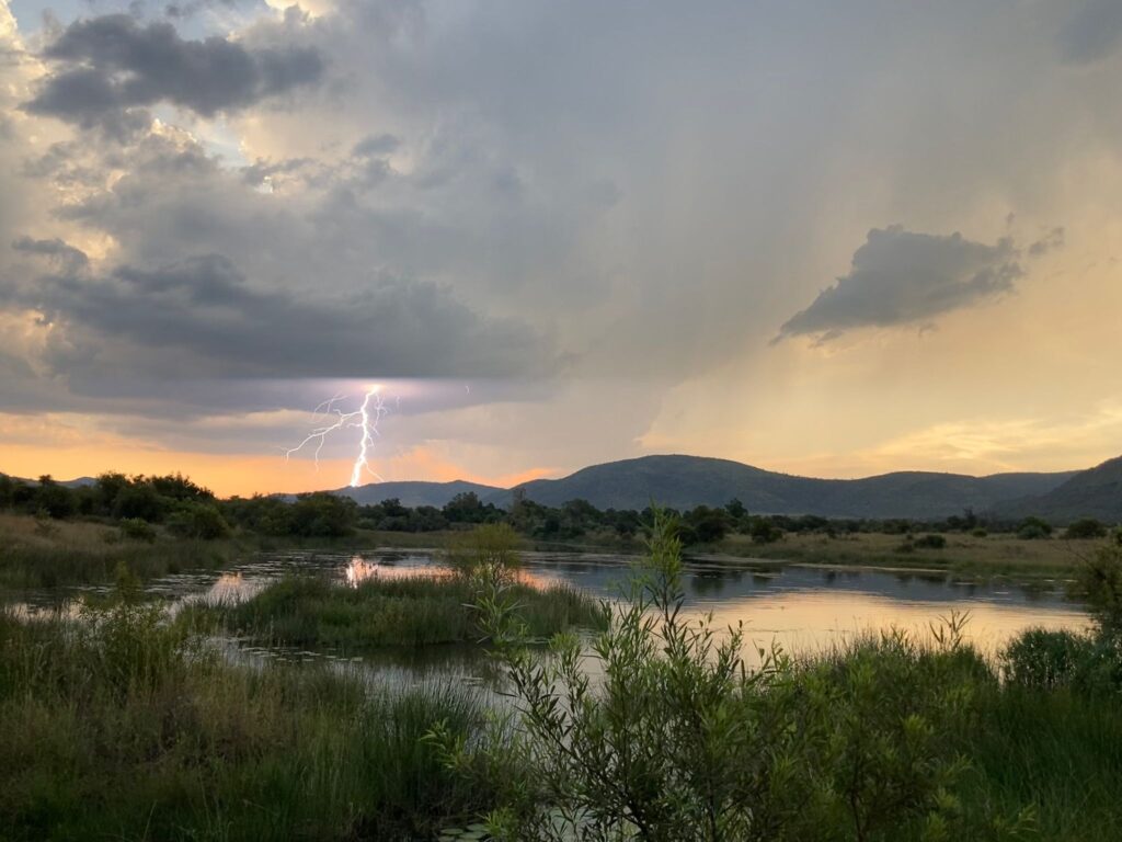 Memex 1.1 | John Naughton's online diary | Page 2