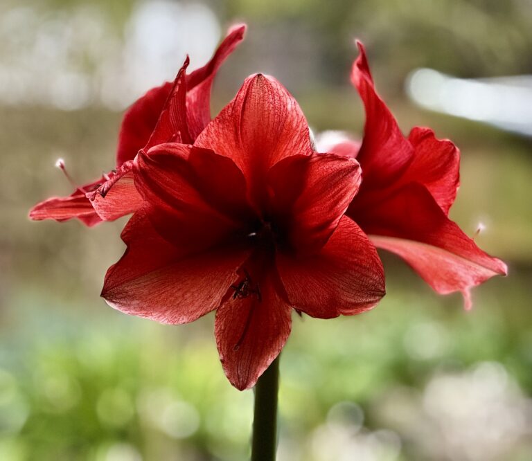 Memex 1.1 | John Naughton's online diary | Page 2