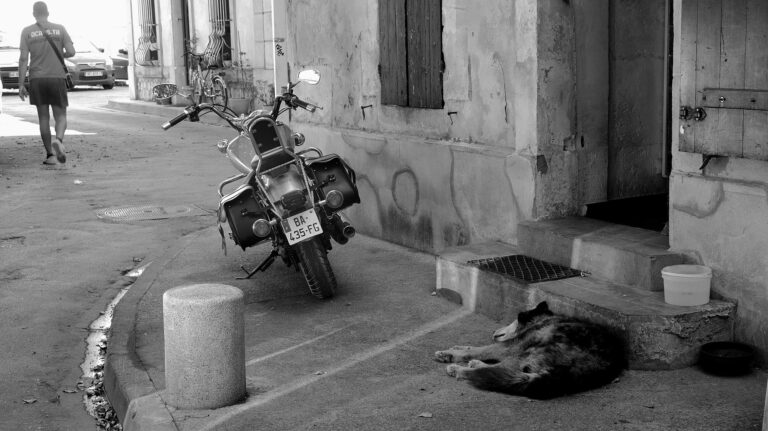 Wednesday 23 July, 2025 | Memex 1.1